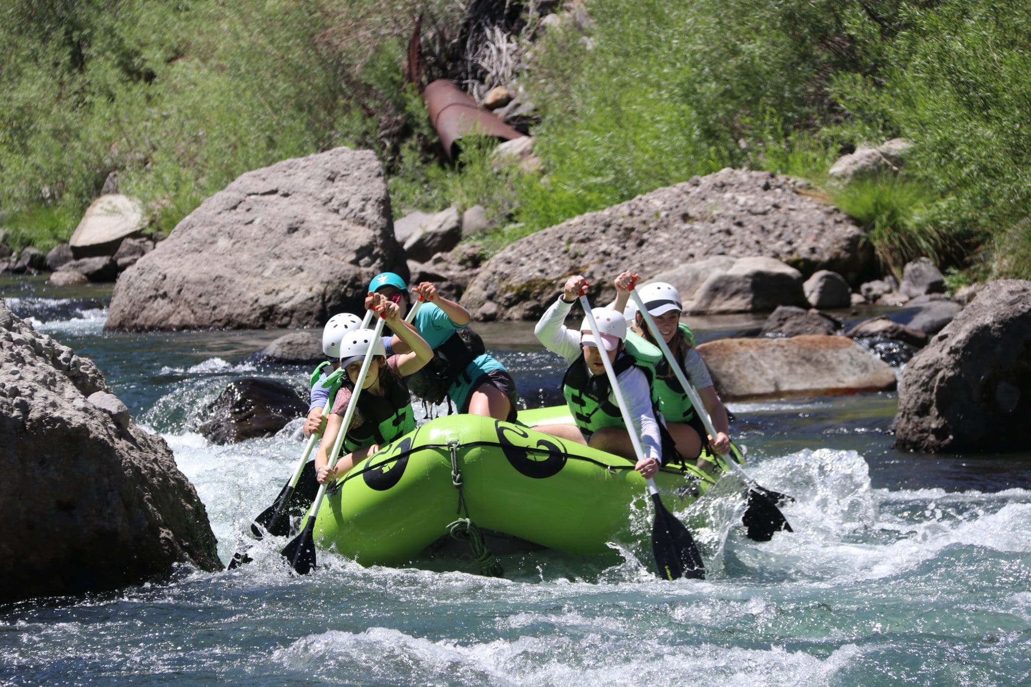 White water rafting - Frequently Asked Questions | Raft California
